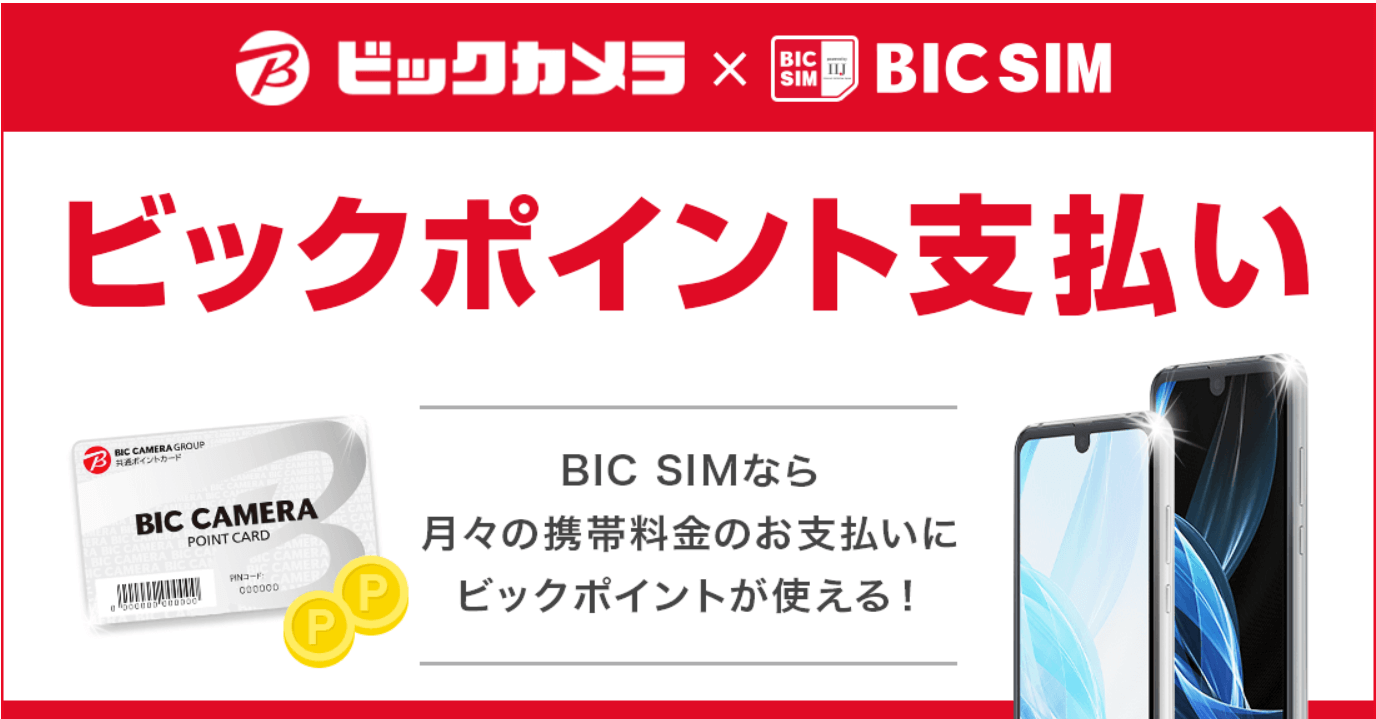 最新2022年11月版 BICSIMキャンペーン - ガジェットカフェ