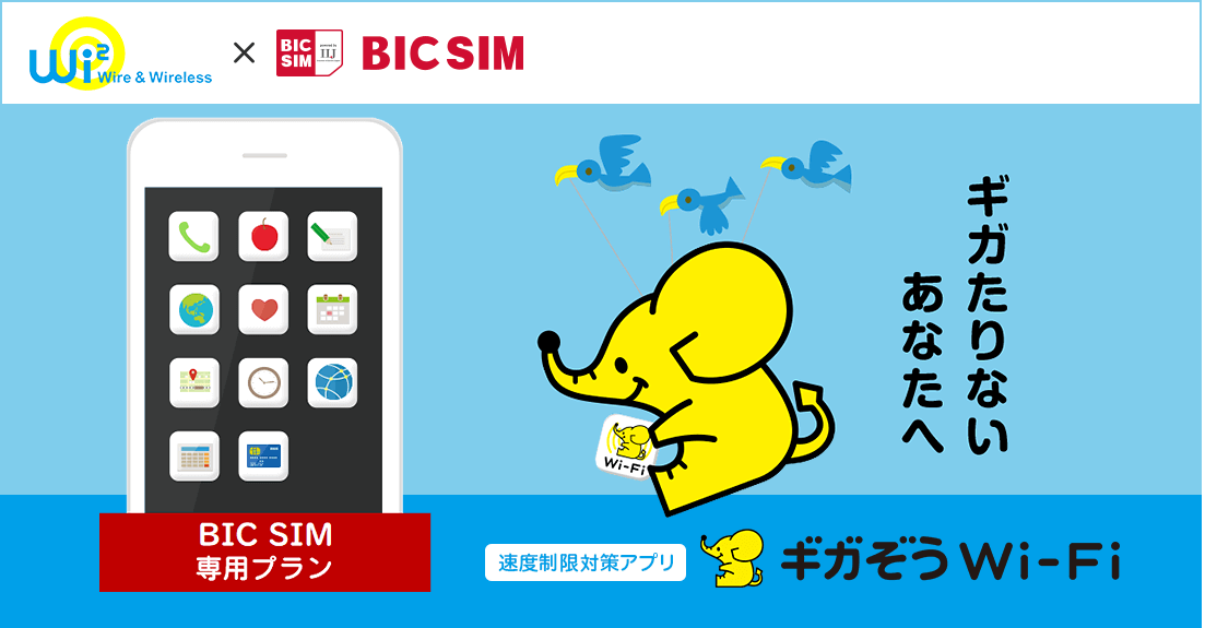 最新2022年11月版 BICSIMキャンペーン - ガジェットカフェ