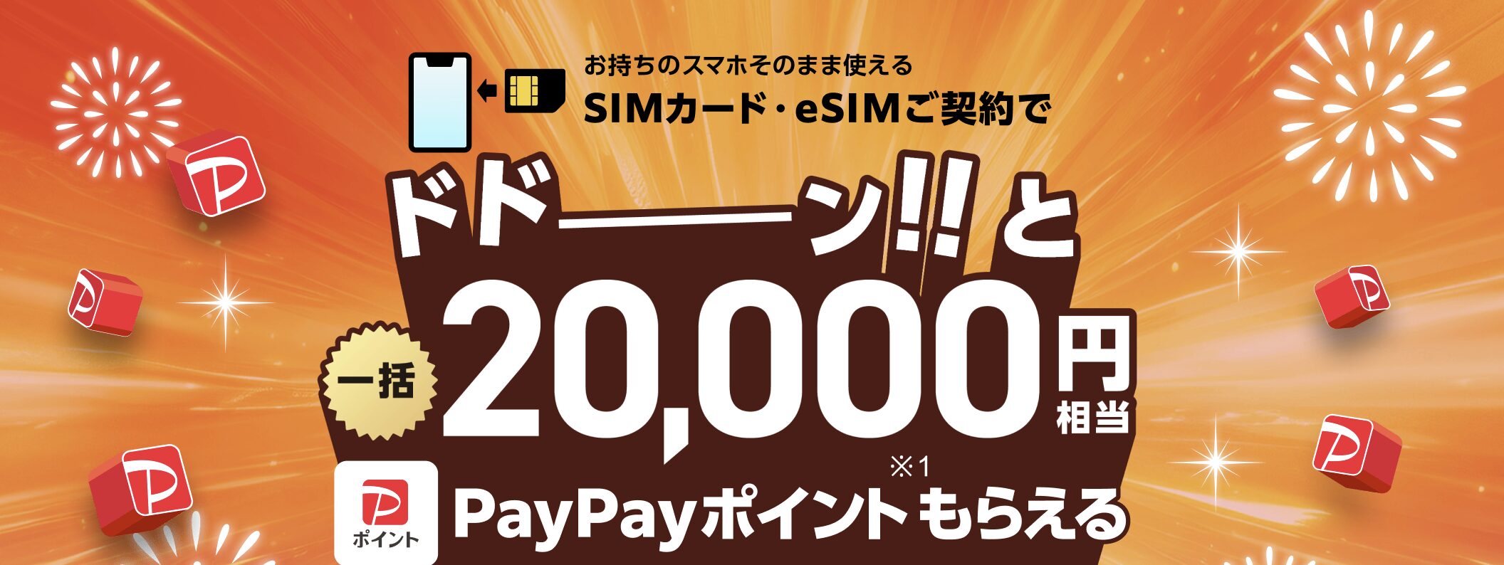ワイモバイル Yahoo!店 SIM乗り換え20000円PayPayプレゼント - ガジェットカフェ