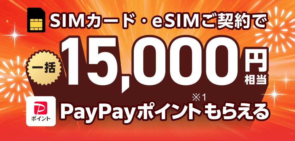 ワイモバイル Yahoo!店 SIM乗り換え15000円PayPayプレゼント - ガジェットカフェ